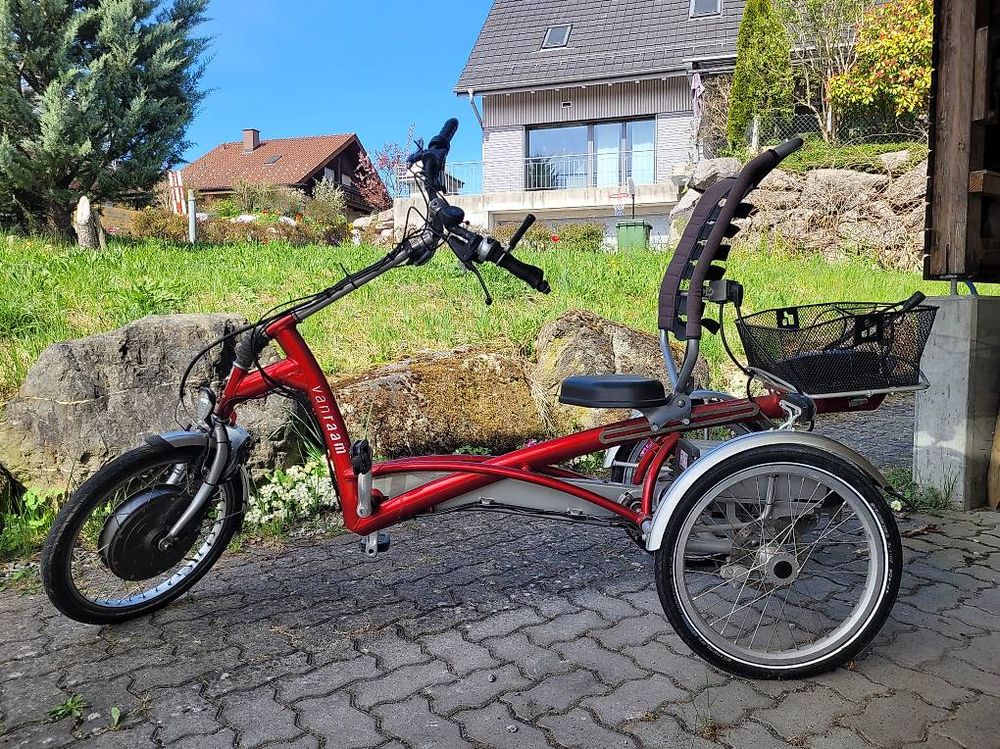 Vanraam Easy Rider Dreirad elektrisch | Comprare su Ricardo