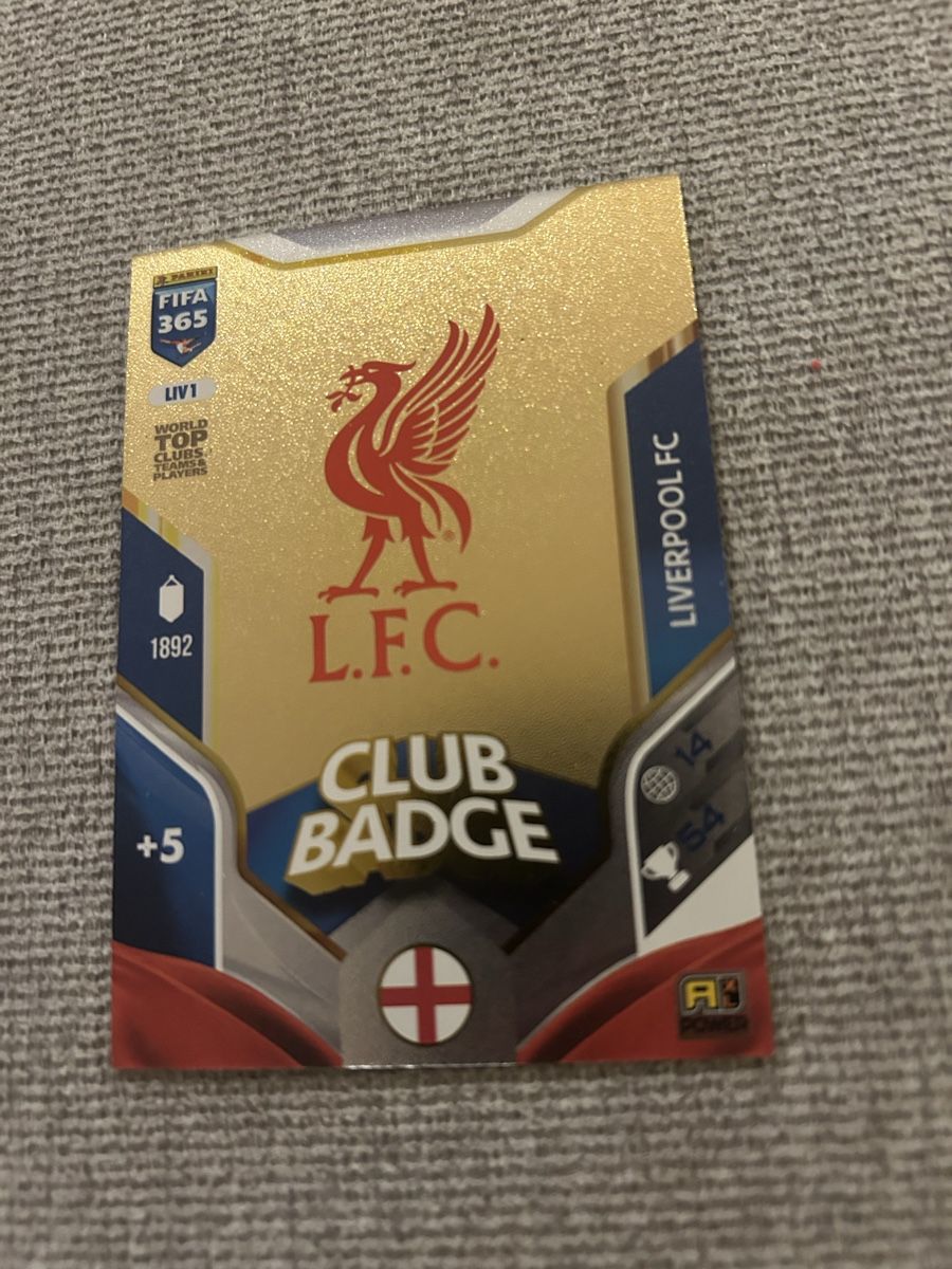 Panini FIFA 365 Adrenalyn XL - Activation Code 2025/26 (Neu (gemäss ...