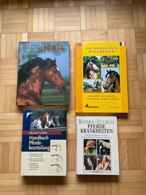 Pferde-Bücher, Rassen & Anatomie (Gebraucht) in Muttenz für CHF 10 – mit Lieferung auf Ricardo ...