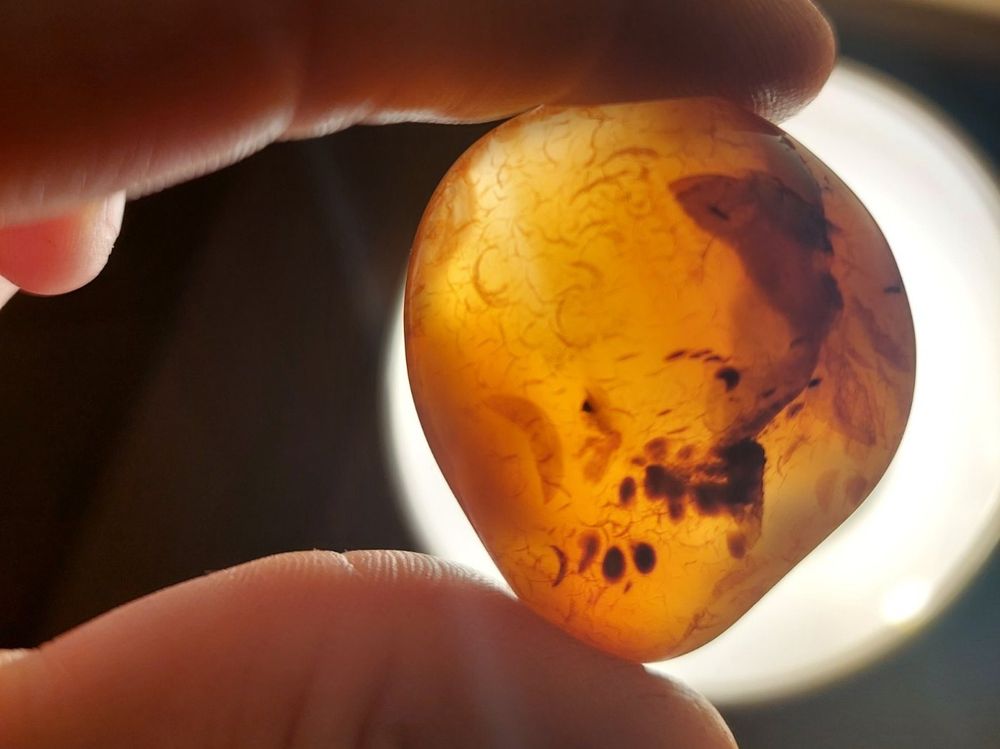 Speziell schöner Karneol?mit Einschlüssen&"Innenleben" (Gebraucht) in Diegten für CHF 19.5 – mit ...