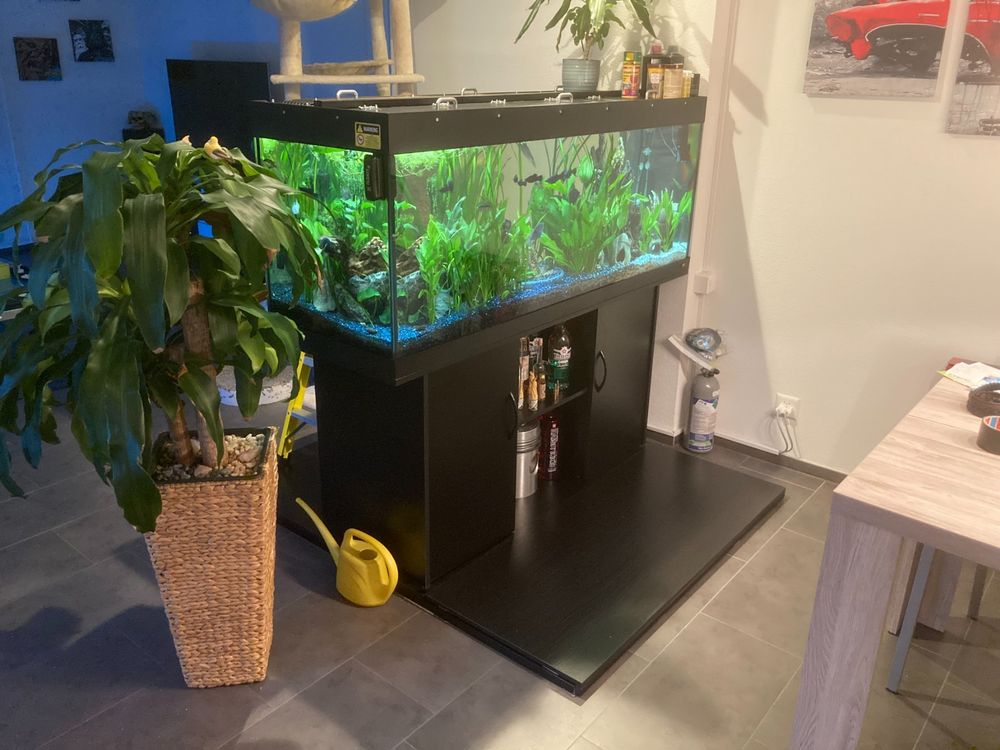 Aquarium Juwel 400 Liter inklusive erforderlichem Zubehör (Gebraucht ...