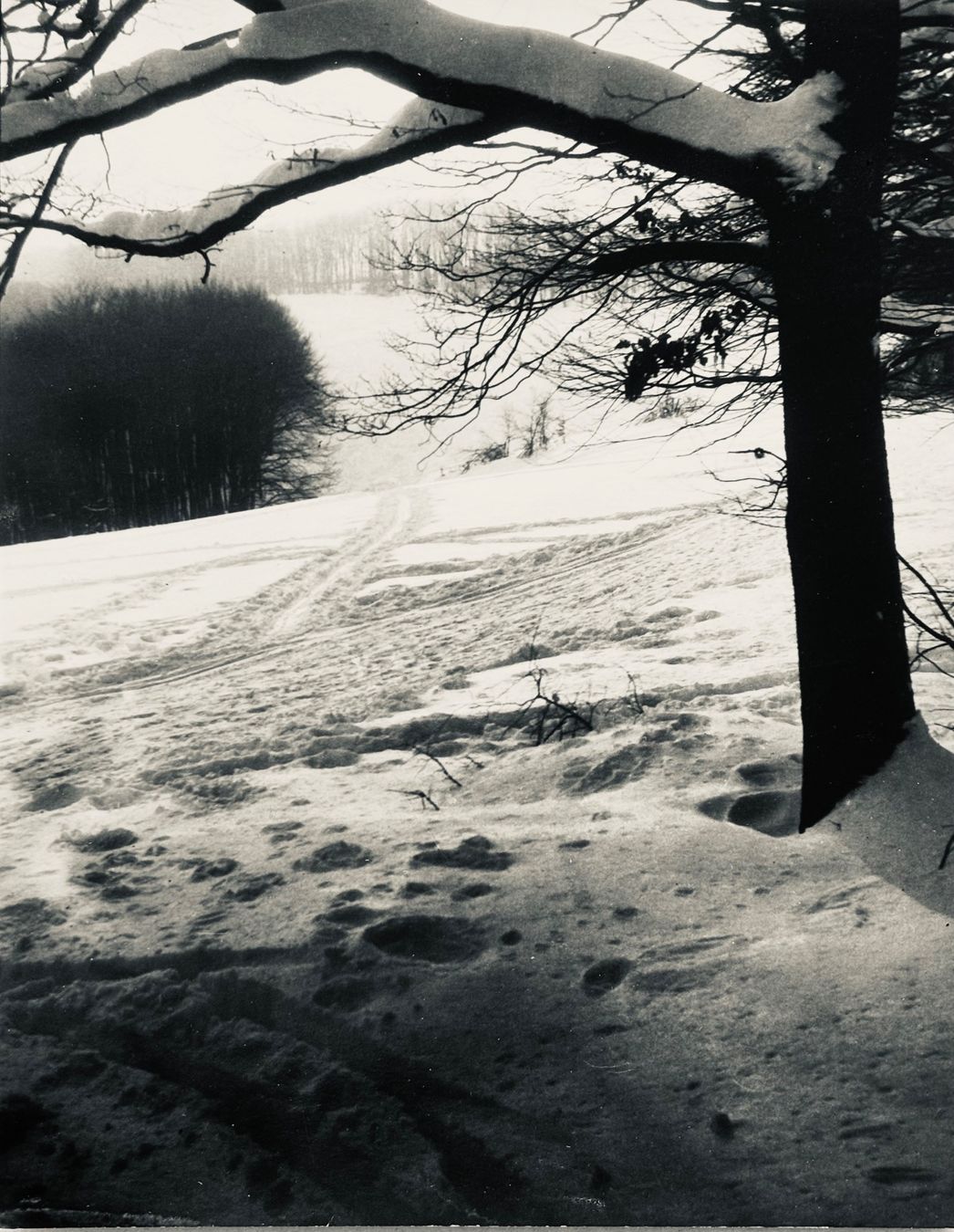 Prof. Rudolf Koppitz (1884-1936) - Fotografie - Art on Paper (Gebraucht ...