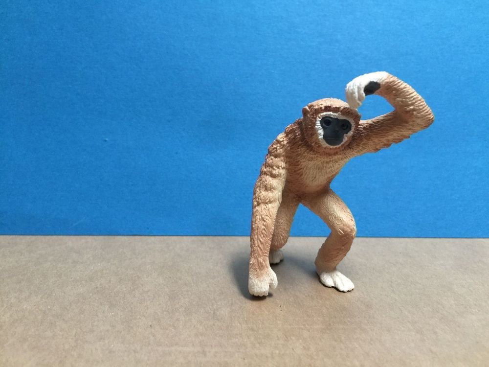 Schleich 14717 Gibbon neuwertig Affe (Gebraucht) in Ennetbaden für CHF ...