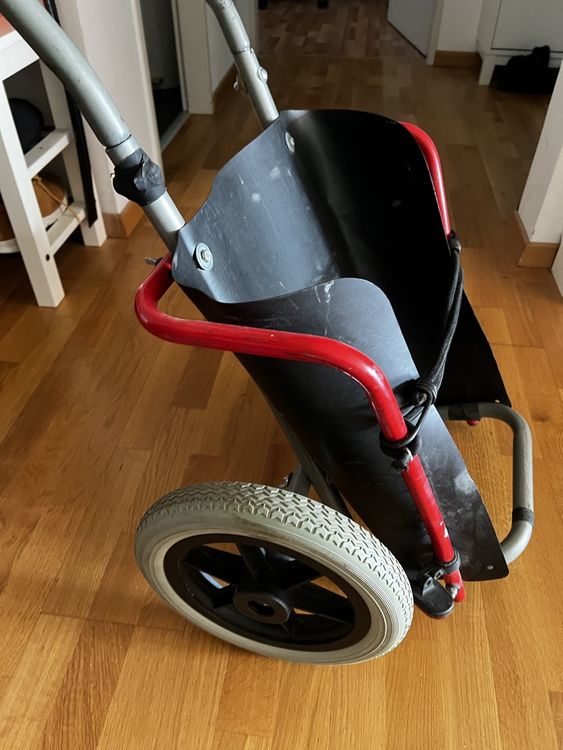 Rucksackwagen, Pilgerwagen, Wanderwagen (Gebraucht) in Bern für CHF 100 – nur Abholung auf ...