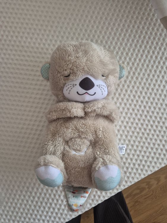 Fisher-Price Slumber Otter weißes Rauschen (Neu (gemäss Beschreibung ...