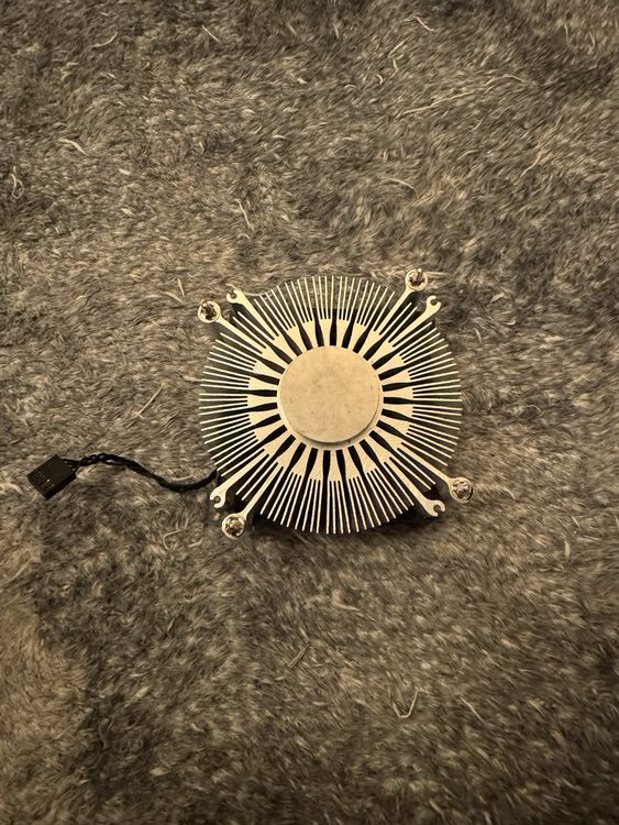 Original Intel CPU-Kühler (Boxed) – Top Zustand (Gebraucht) in Bern für ...