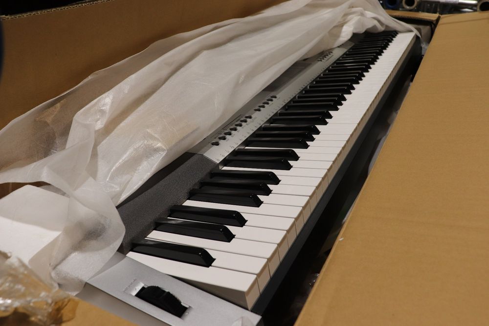 CASIO CDP 230 R SR DIGITALPIANO (Neu (gemäss Beschreibung)) in ...