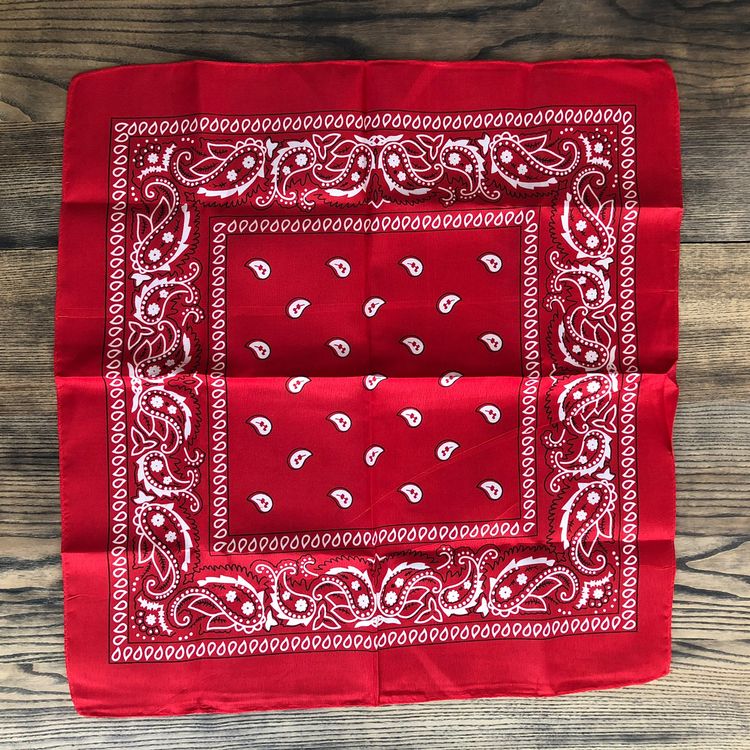 NEU Retro Bandana Nickituch rot (Gebraucht) in Kloten für CHF 4.9 – mit ...