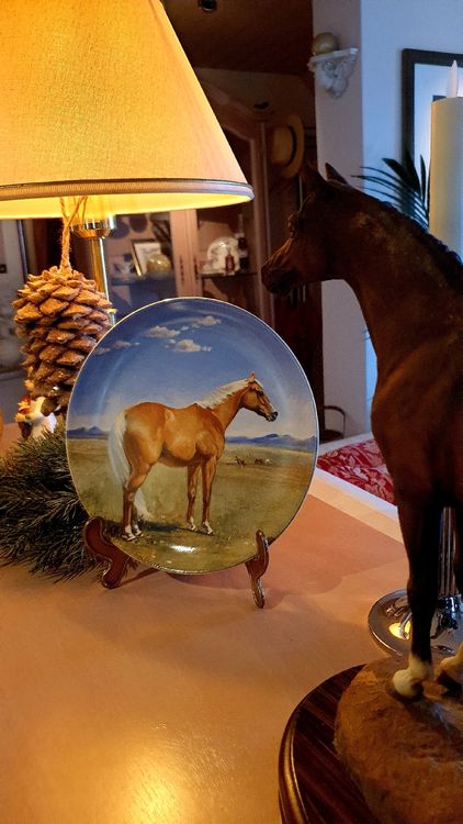 Sammelteller (Neu (gemäss Beschreibung)) in Benken SG für CHF 5 – mit Lieferung auf Ricardo kaufen