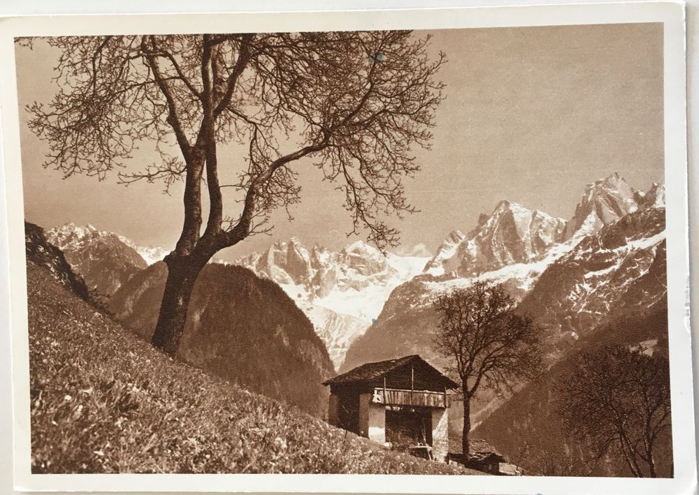 Albert Steiner, Soglio, Blaukreuz, 1955 | Kaufen auf Ricardo