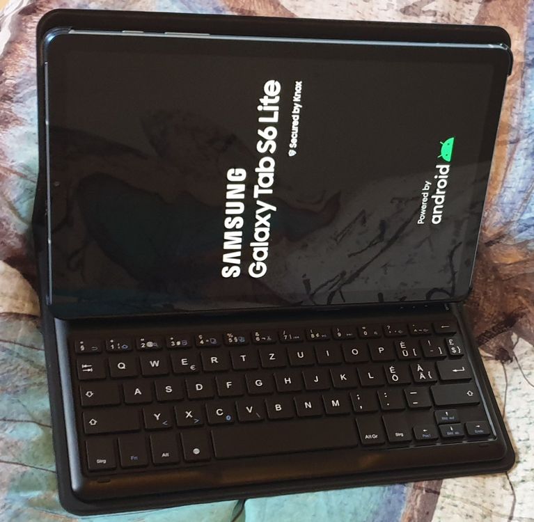 Samsung Galaxy Tab S6 Lite 10,6" (Neuf (Voir description)) à pour CHF ...