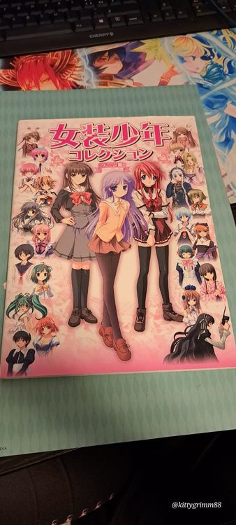 Drag Boy Chapter of Game (Art Book) (Neu (gemäss Beschreibung)) in ...