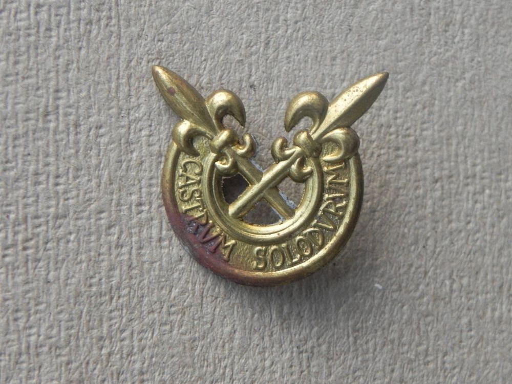 Abzeichen Castrum Solodurum Solothurn Olten (Gebraucht) in Siebnen für ...