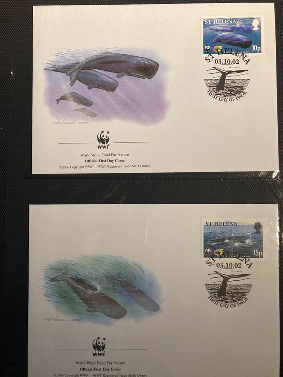 WWF St.Helena 2002 Satz Pottwal illustrierte Ersttagsbriefe (Neu ...