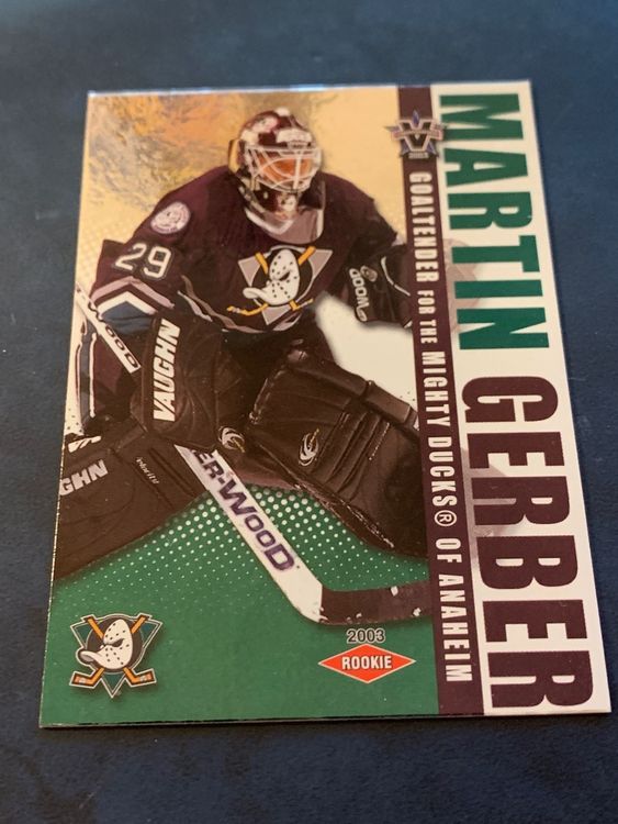 Martin Gerber Ducks RC Vanguard 850/1650 (Gebraucht) in Heimberg für ...