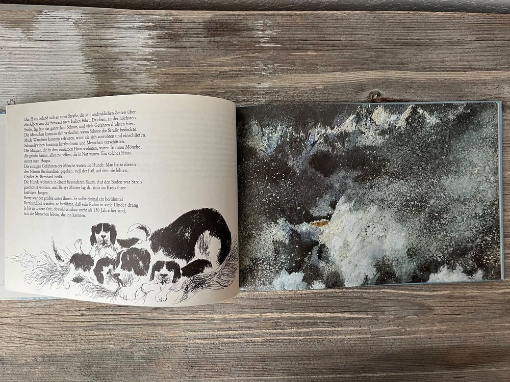 Barry - das Original, P. Nussbaumer/B. Hürlimann/1970 (Gebraucht) in ...