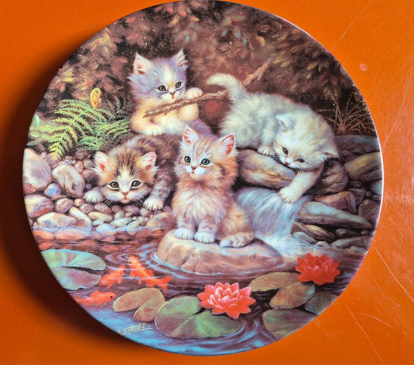 Sammelteller mit Katzenmotiv (NO MONEYGUARD!) (Gebraucht) in Zürich für ...
