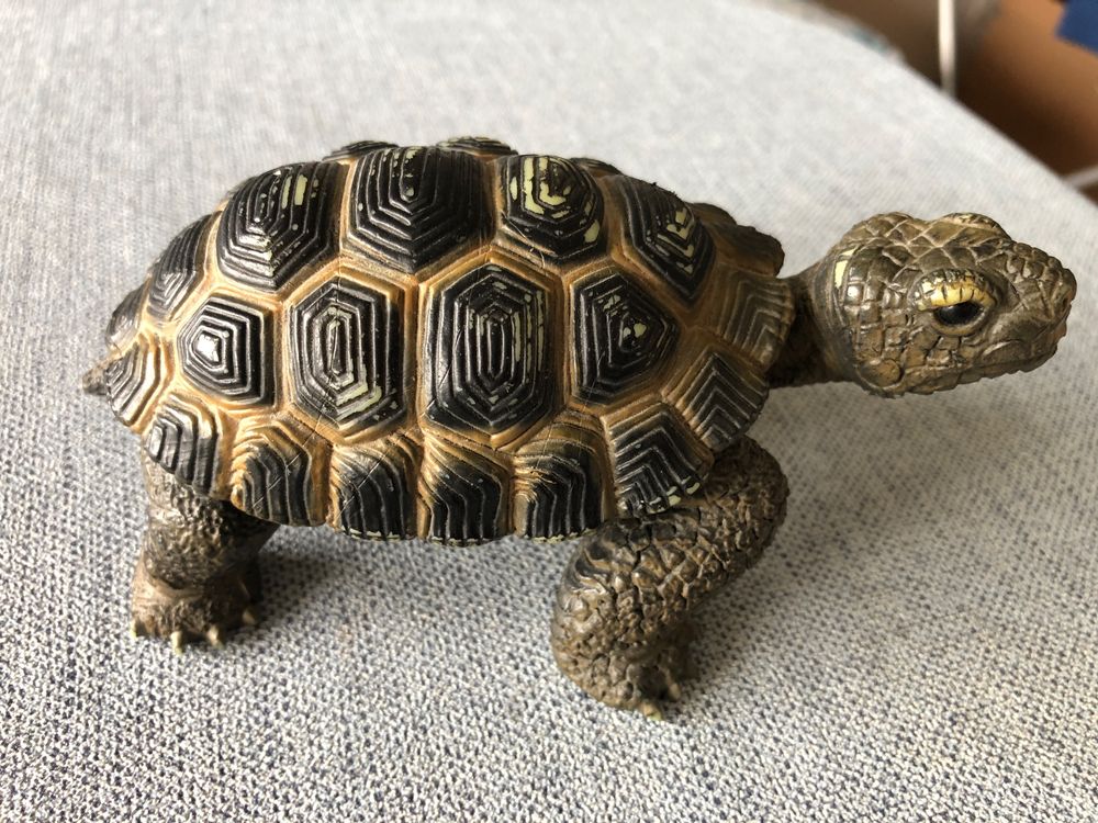 Bullyland Schildkröte | Kaufen auf Ricardo