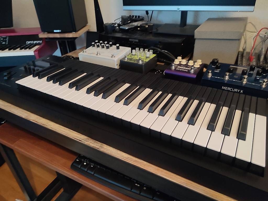 Expressive E Osmose Synthesizer (Gebraucht) in Mettmenstetten für CHF 990 – nur Abholung auf ...