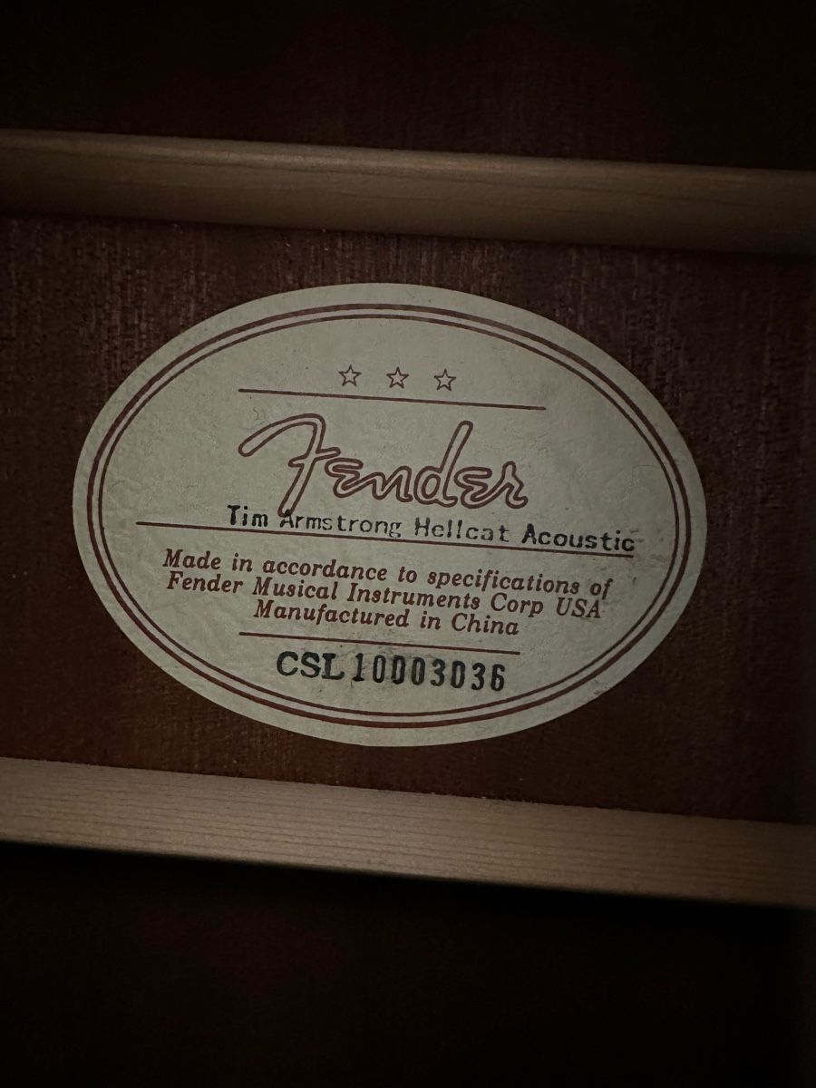 Fender Guitar Tim Armstrong Rancid Hellcat E Acoustic (Usato) a Locarno ...