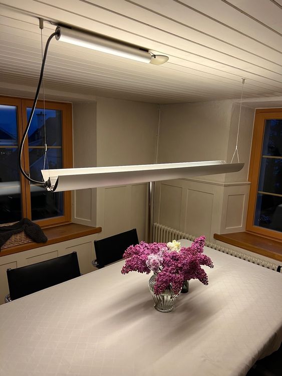 Hängelampe updown, Design Reto Schöpfer, von Belux AG | Kaufen auf Ricardo