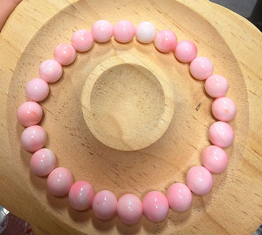 Queen Conch Shell (Muschel) Armband (Neu (gemäss Beschreibung)) in ...