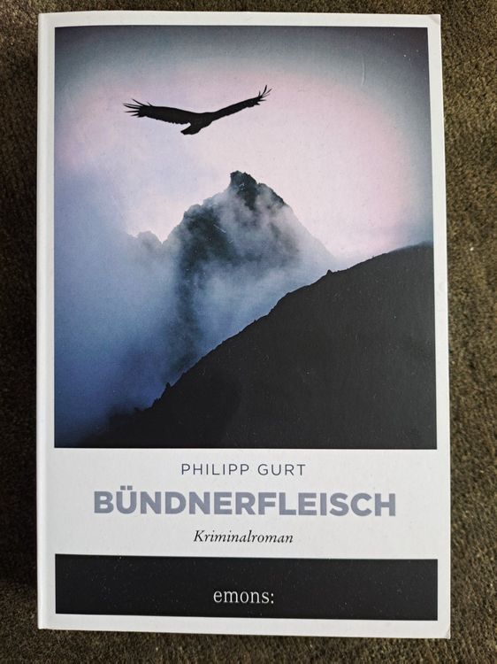 Buch Bündnerfleisch Philipp Gurt (Gebraucht) in Volketswil für CHF 5 ...