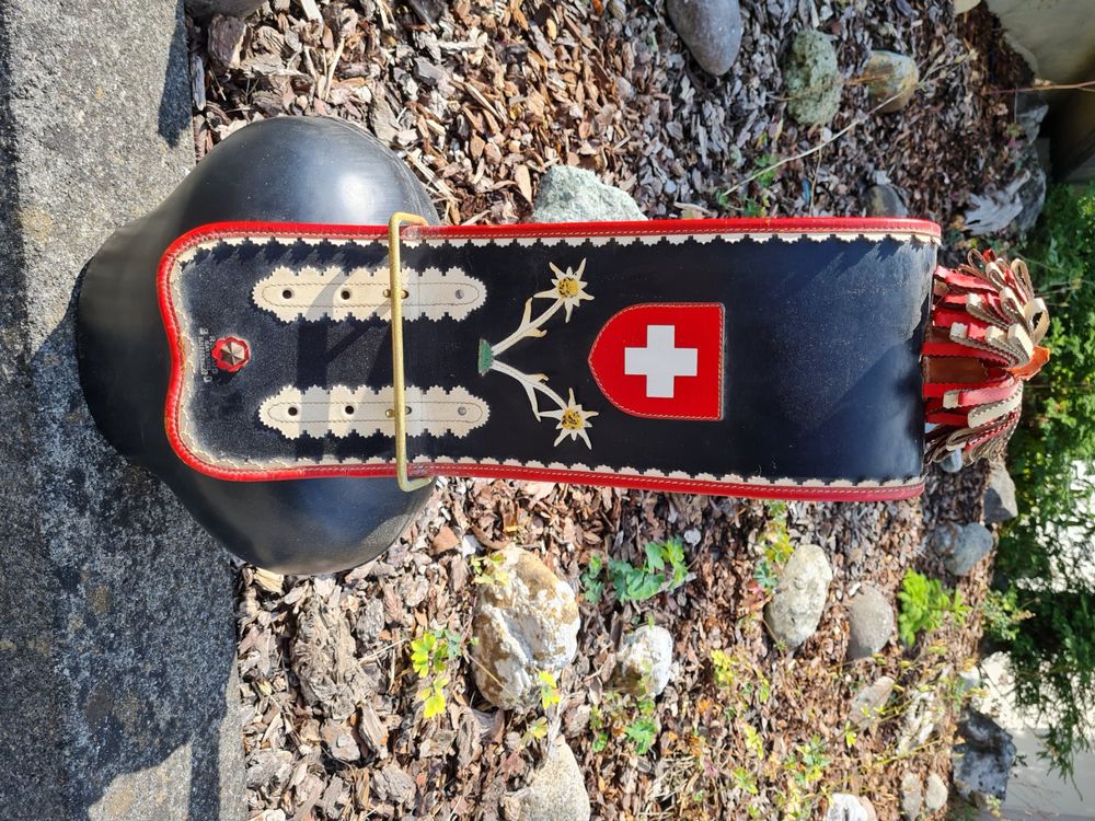 Treichel (Neu und originalverpackt) in Spiez für CHF 150 – nur Abholung ...