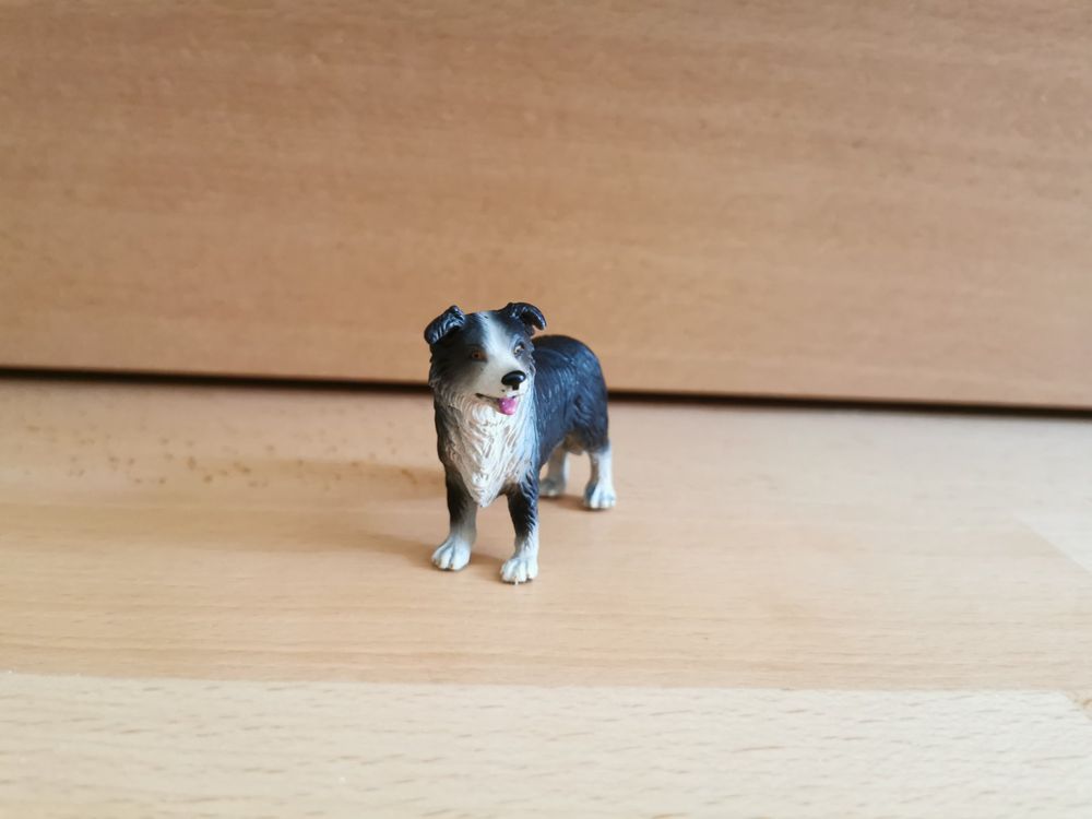 Schleich Border Collie (Gebraucht) in Birmensdorf ZH für CHF 3 – mit ...