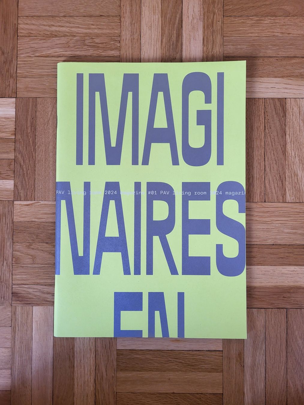 magazine PAV Living Room 2024 (D'occasion) à Genève pour CHF 9 – avec ...