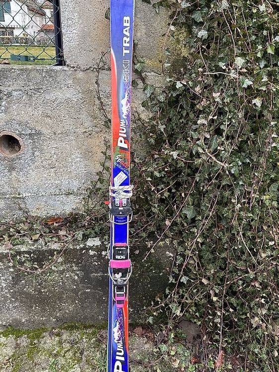 Ski TRAB avec fixations et peaux (D'occasion) à Combremont-le-Grand ...