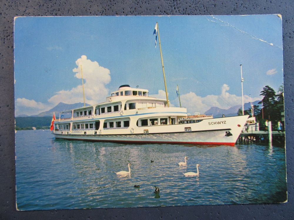 AK SG RORSCHACH MS SCHWYZ SCHIFF 1978 BUG | Kaufen auf Ricardo