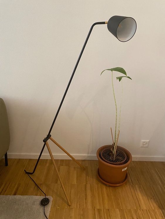 Standleuchte von Interio (Gebraucht) in Kilchberg ZH für CHF 40 – nur ...