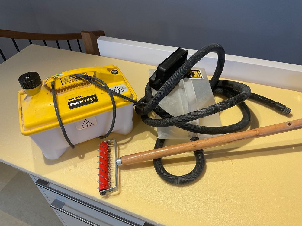 Wagner SteamPerfect W16 mit Stachelwalze - gebraucht (Gebraucht) in ...
