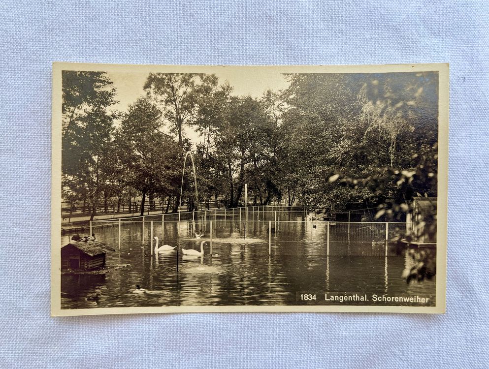 Alte Ansichtspostkarten aus der Schweiz (Neu (gemäss Beschreibung)) in Lyss für CHF 6 – mit ...