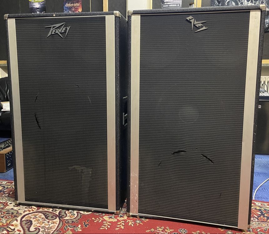 Peavey 1510T Festival Lautsprecherboxen (Defekt) in Gränichen für CHF 1 ...