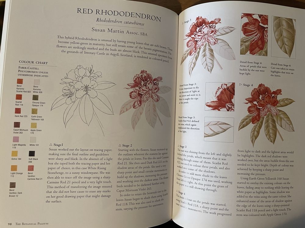 The botanical Palette. Colour for the Botanical Painter (Gebraucht) in ...