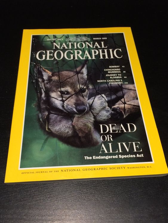 NATIONAL GEOGRAPHIC English ed. MARCH 1995 BOMBAY MUMMIES (Gebraucht ...