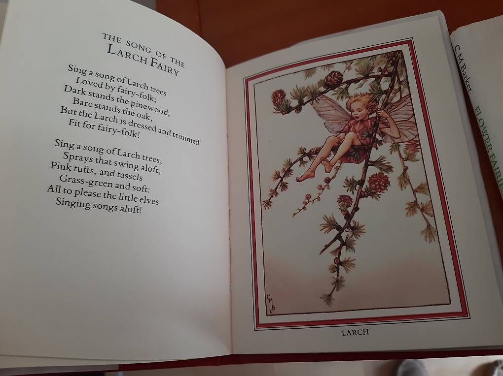 Flower Fairies von Mary Cecily Barker (Gebraucht) in Seengen für CHF 59 ...