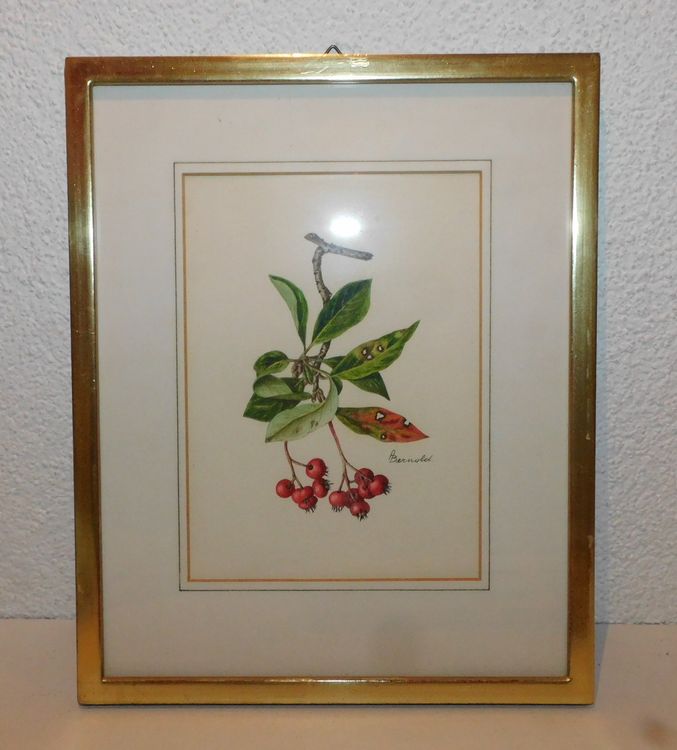 Neue Fundschätze - Kunst Aquarell od Litho signiert | Kaufen auf Ricardo