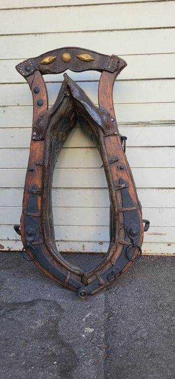 Pferde Kummet (Gebraucht) in Bellach für CHF 50 – nur Abholung auf ...