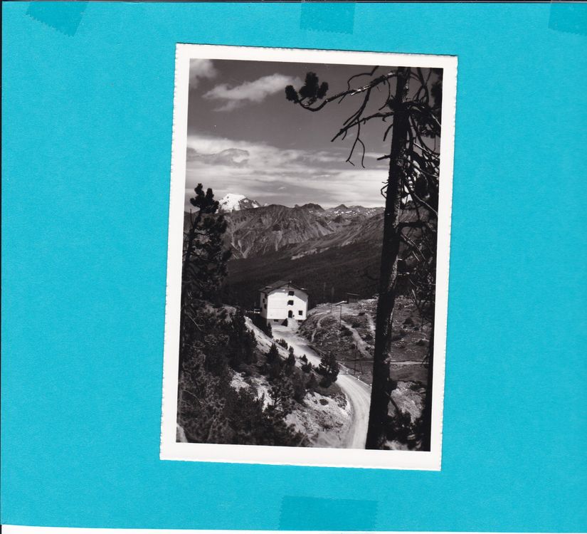 Susom Gyvé | Kaufen auf Ricardo