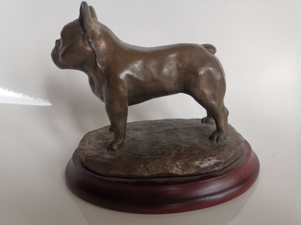 Douglas Gray Bronze French Bulldog, Frenchie (Gebraucht) in Uerikon für ...