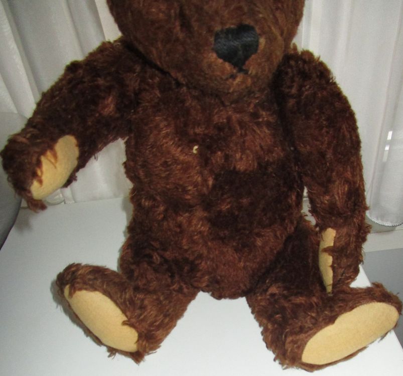 brauner Steiff Teddy ca. 40 cm (Gebraucht) in Wädenswil für CHF 70 ...
