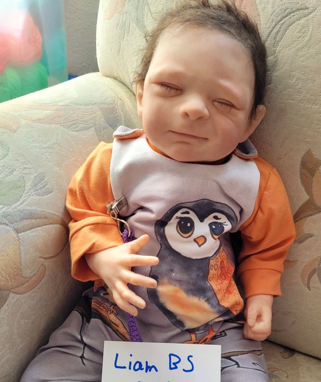 Reborn Baby Liam süss & realistisch 50cm (Gebraucht) in Lupfig für CHF ...