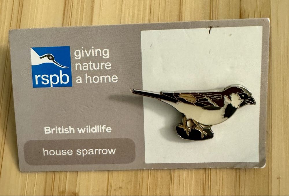 Bird pin badge_House Sparrow | Kaufen auf Ricardo