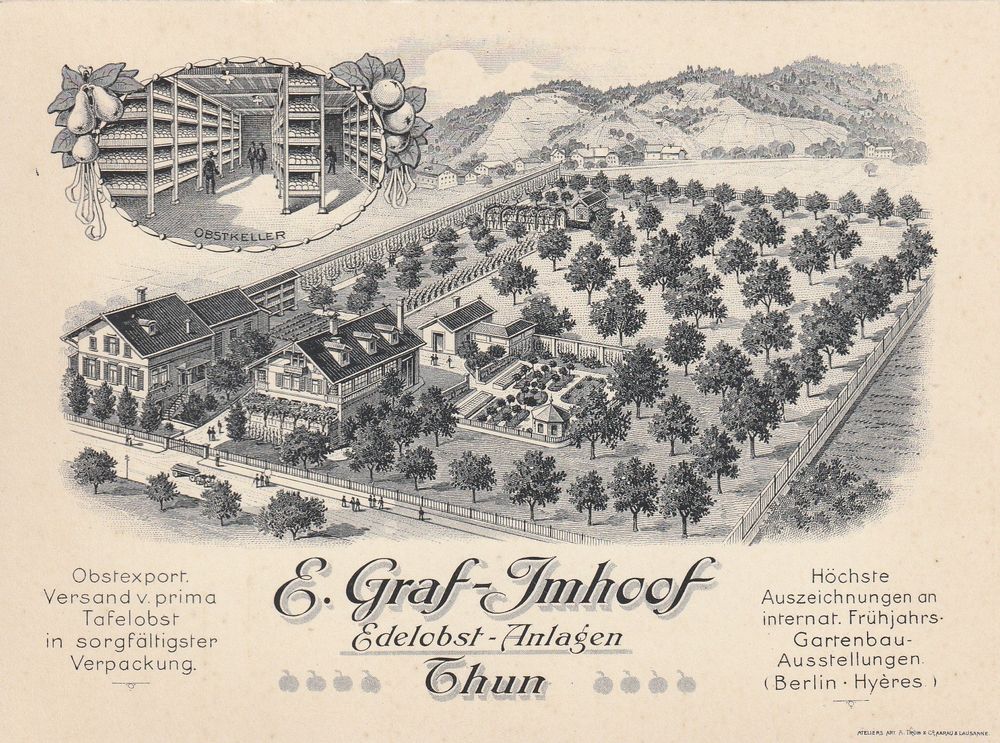 Werbekarte Thun Edelobst-Anlagen E. Graf - Imhof (Gebraucht) in Rorschacherberg für CHF 16 – mit ...