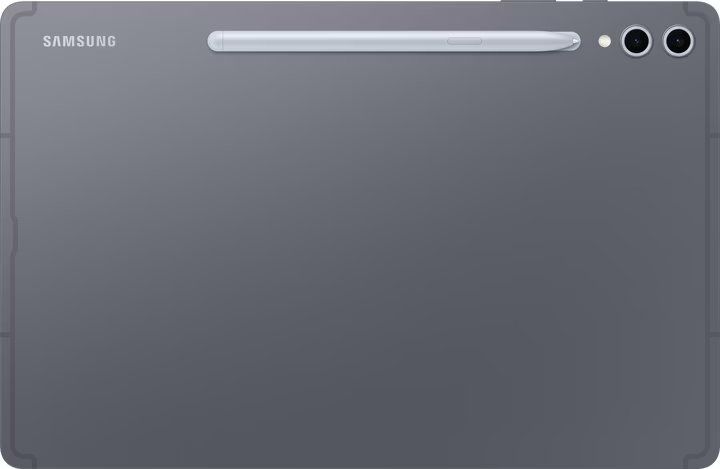 Samsung Galaxy Tab S10+, 256GB, Grau, Top Zustand! (Neu (gemäss ...