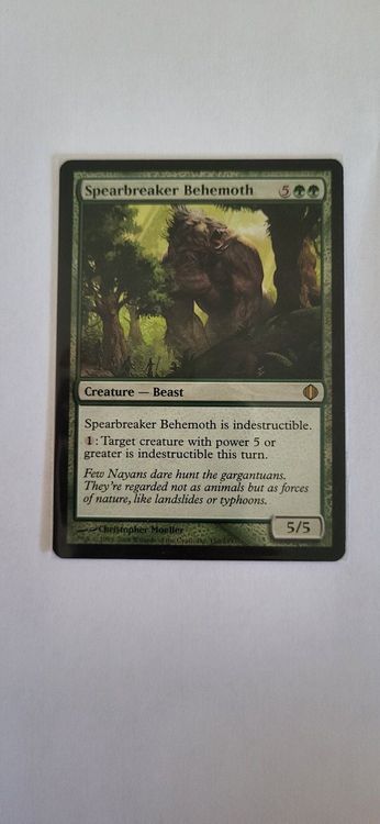 MTG - Spearbreaker Behemoth | Kaufen auf Ricardo