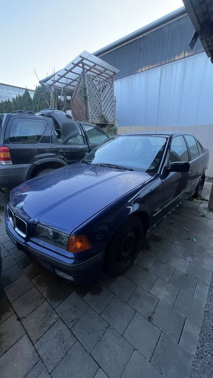 BMW e36 328ia Limousine mit 267tkm (Geschlachtet) (Defekt) in Giebenach für CHF 3500 – nur ...